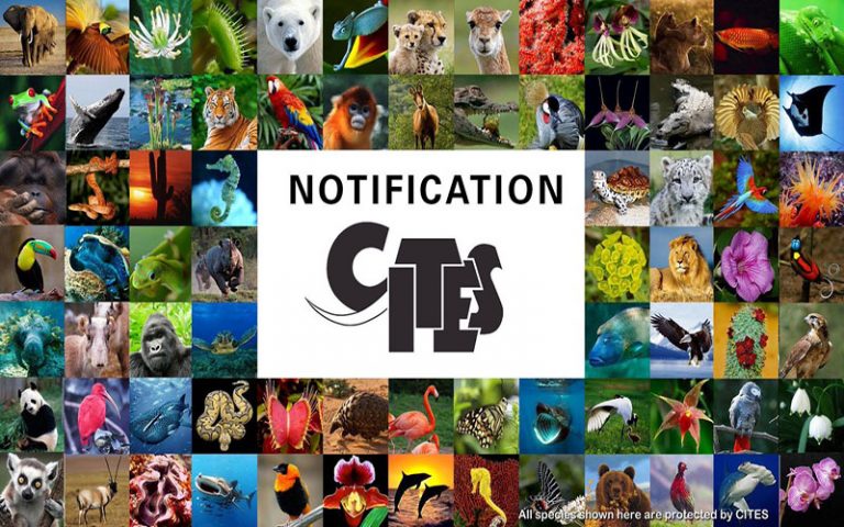 Tìm hiểu từ A-Z về Công ước CITES! - INDOCHINAPOST.VN